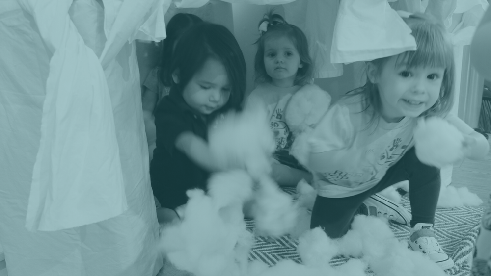 ADMISSIONS — Tree Top Academy