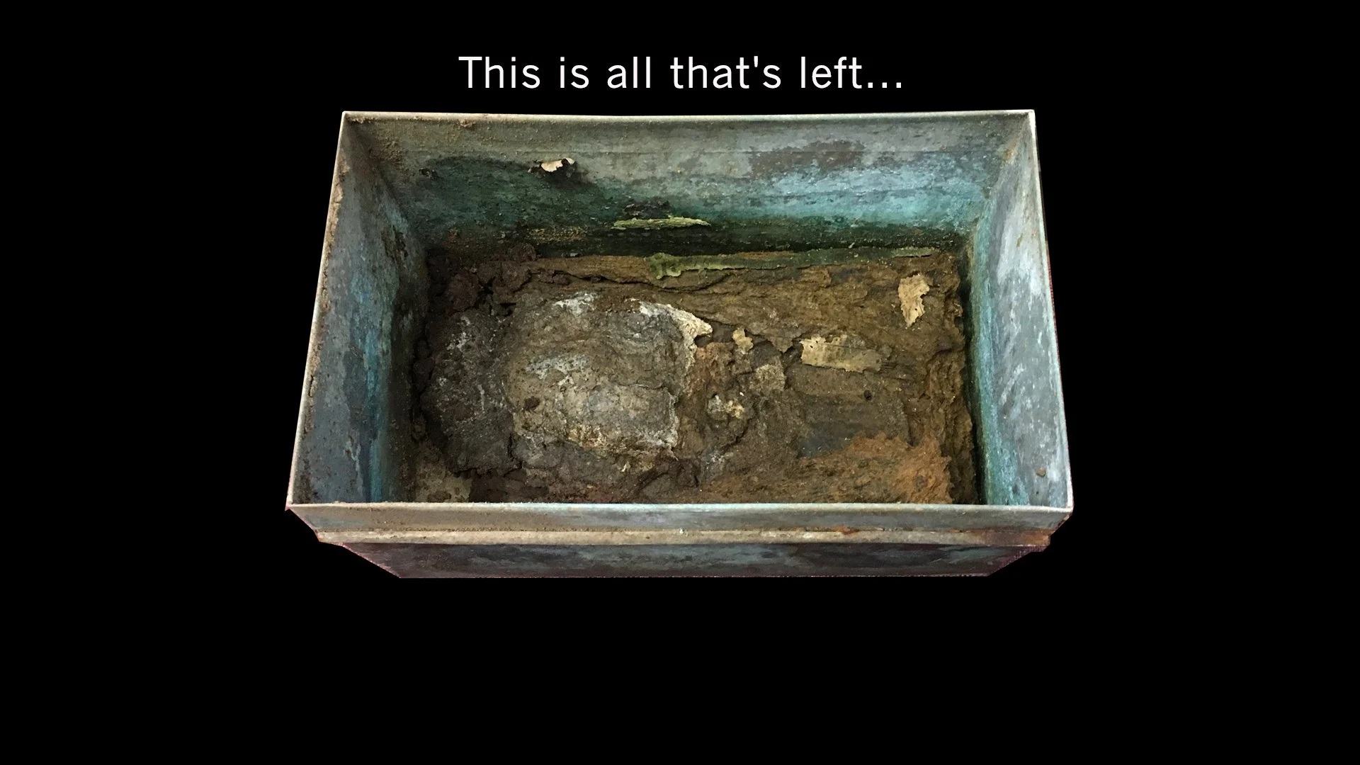 TIME CAPSULE PROJECT — THE TIME CAPSULE