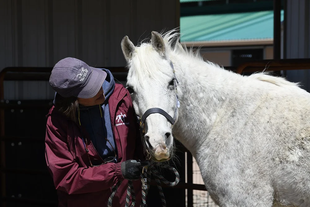 Horses With Heart— Horses with Heart Event Calendar