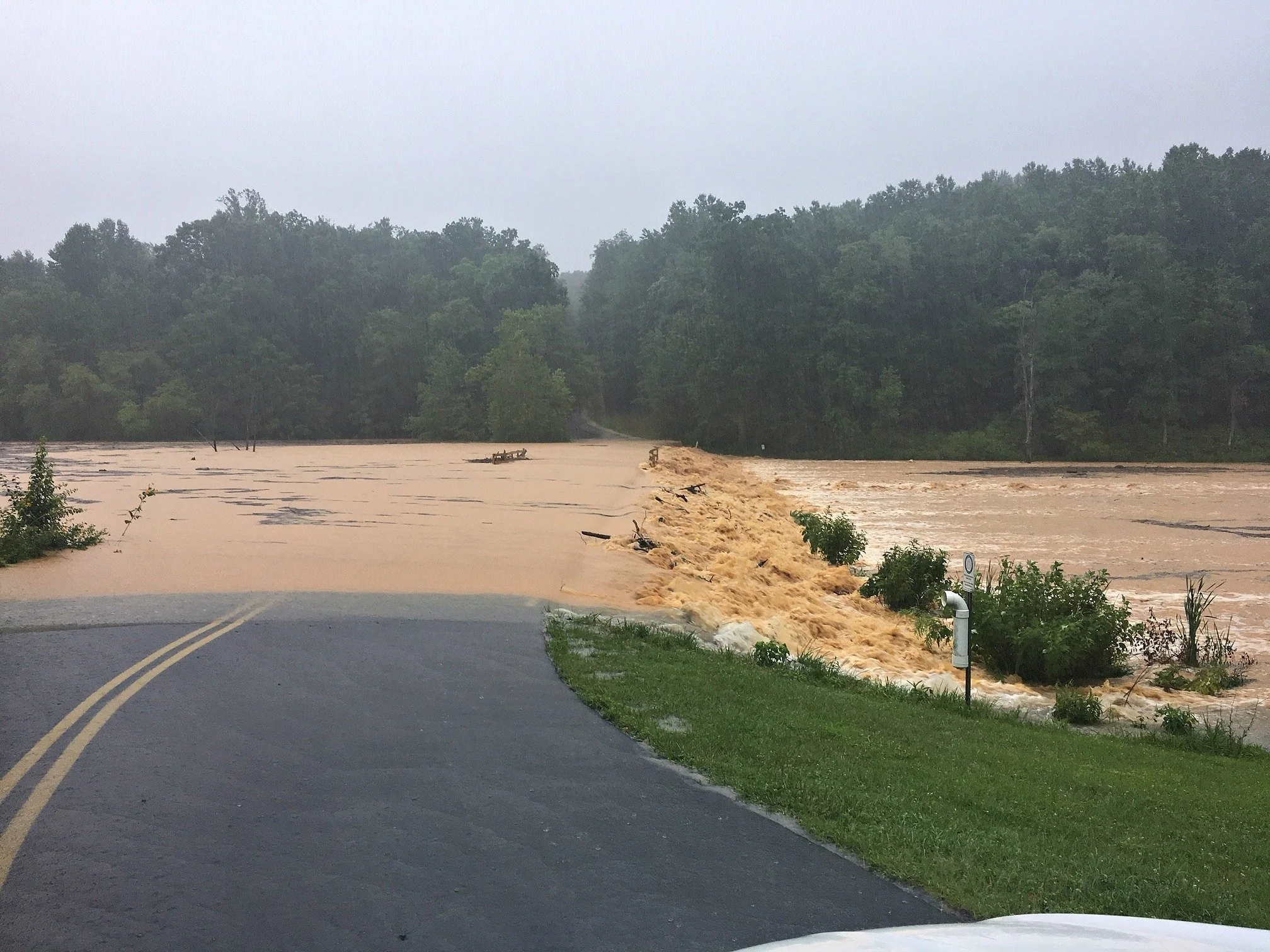 Take action to strengthen the MoCo Forest Conservation Law — Friends of ...