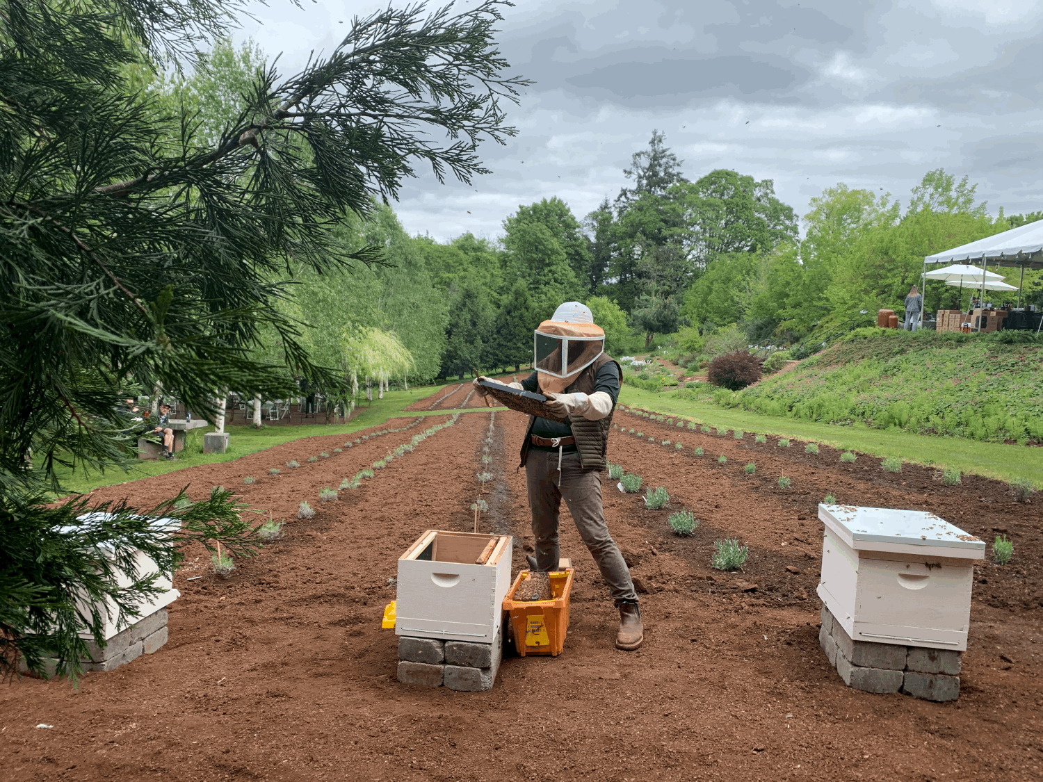 Contact — OREGON BEE KEEPER
