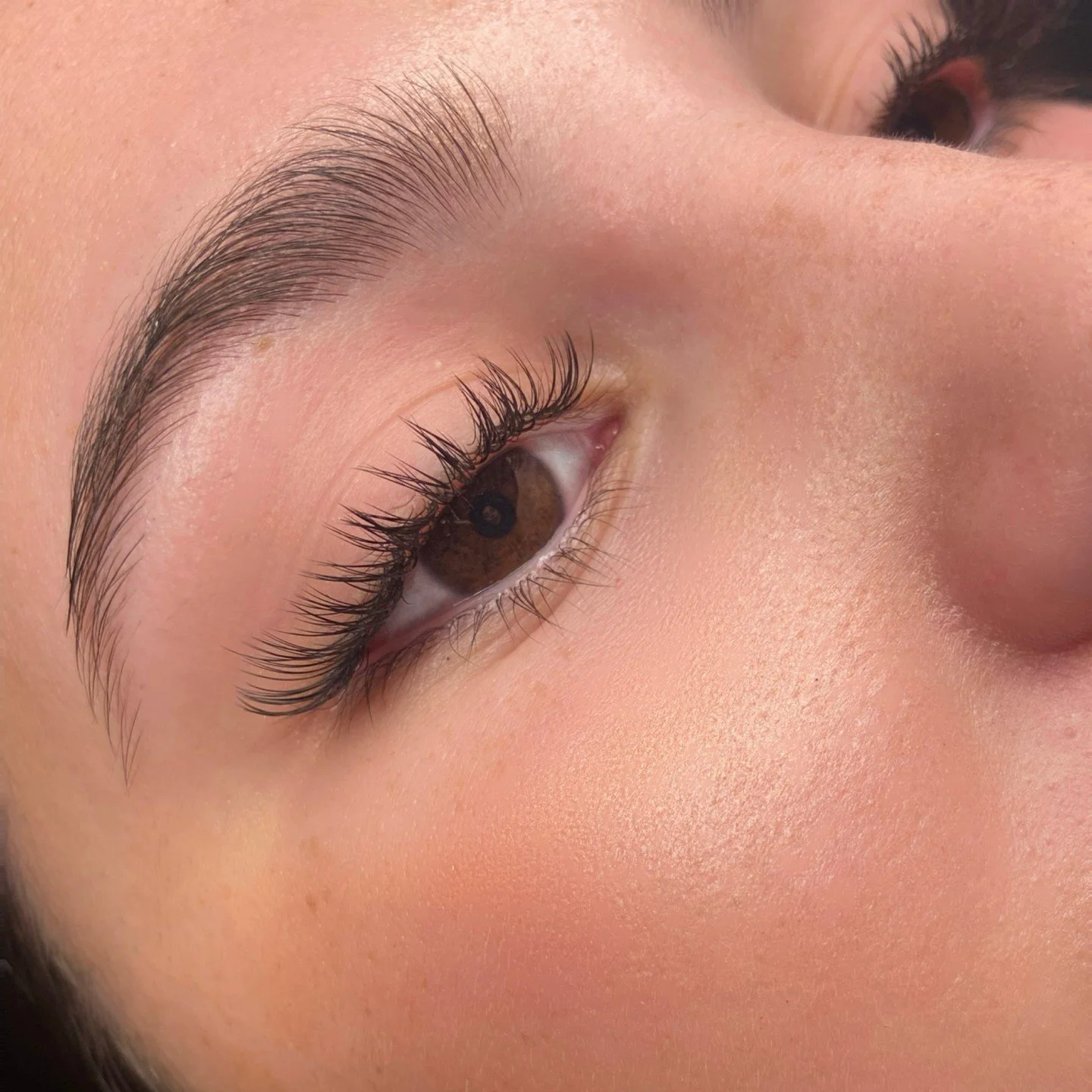 Blushaé | Home of Luxe Beauty | Bella Vista | Blushaé | The Best Spray ...