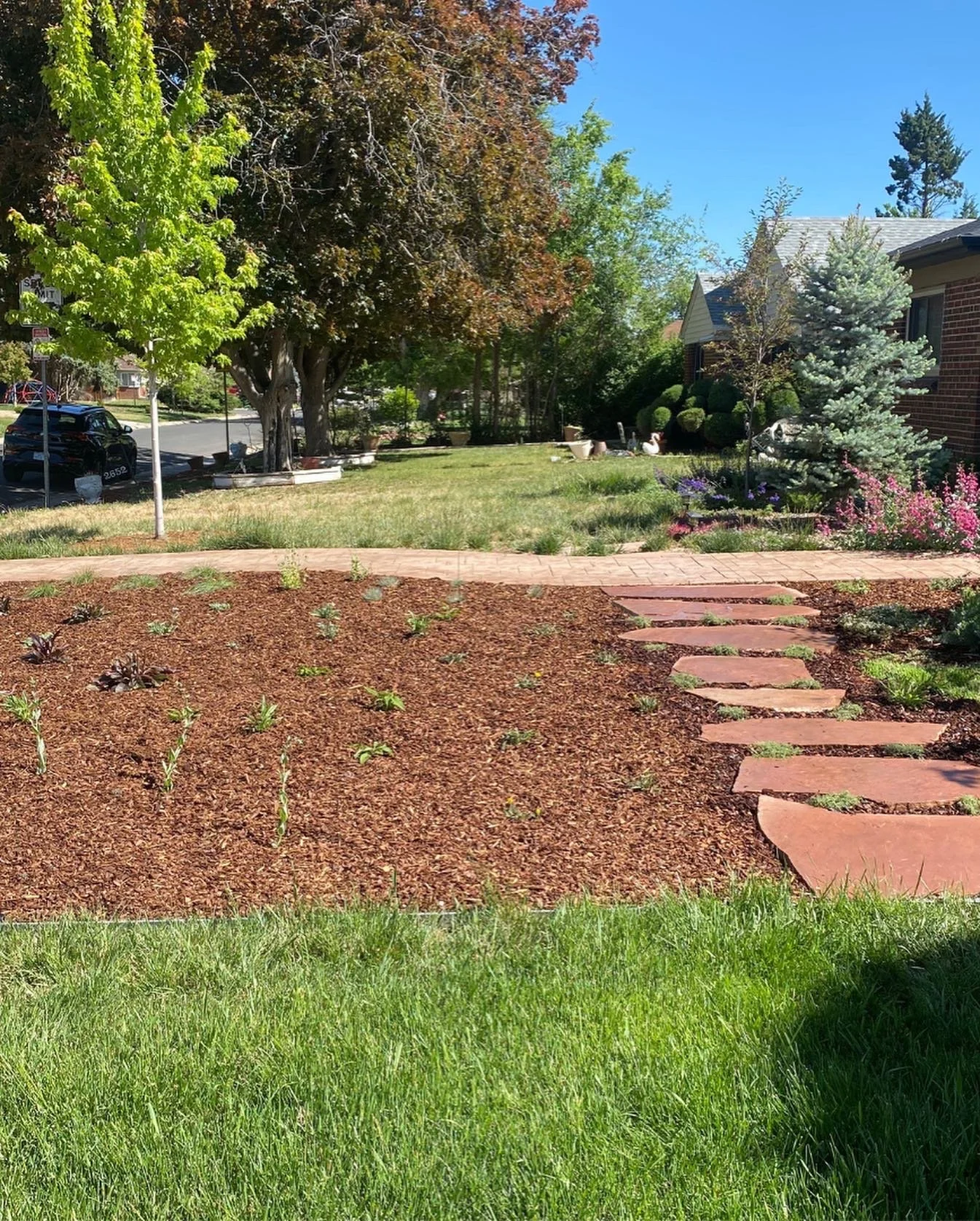 Regenerative Landscapes | Honeywood Garden Design