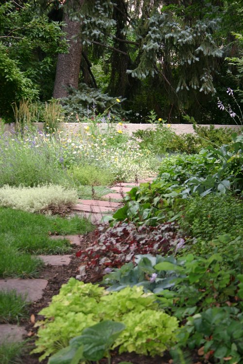 Denver Shade Gardens | Honeywood Garden Design