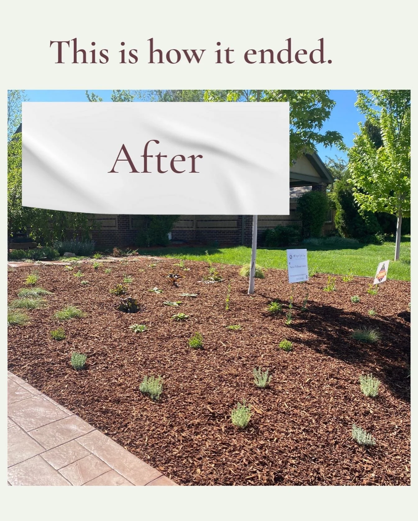 Regenerative Landscapes | Honeywood Garden Design