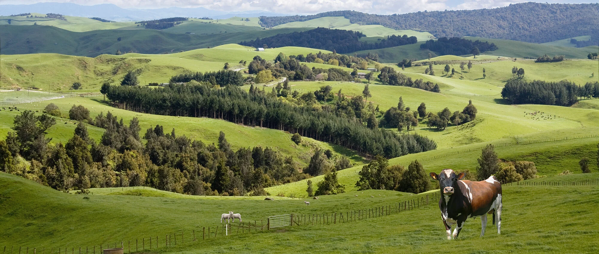 Rural Tours - Farm Visits in New Zealand — Rural Tours -Country ...