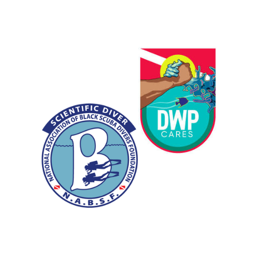 Partners and Sponsors — SEA SCOPE INC