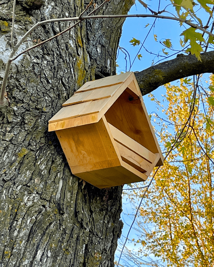 Timber Frame Style, Fly through Bird Feeder with 3 roof design options ...