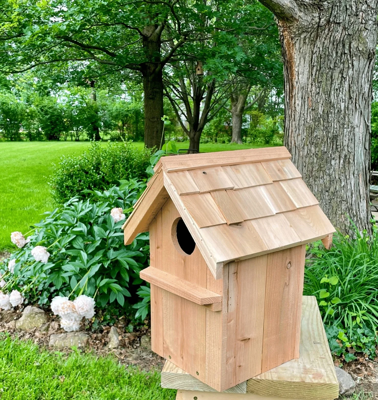 SALT RIVER HOME & GARDEN Owl, Bat, & Bird Houses and Feeders; Making ...