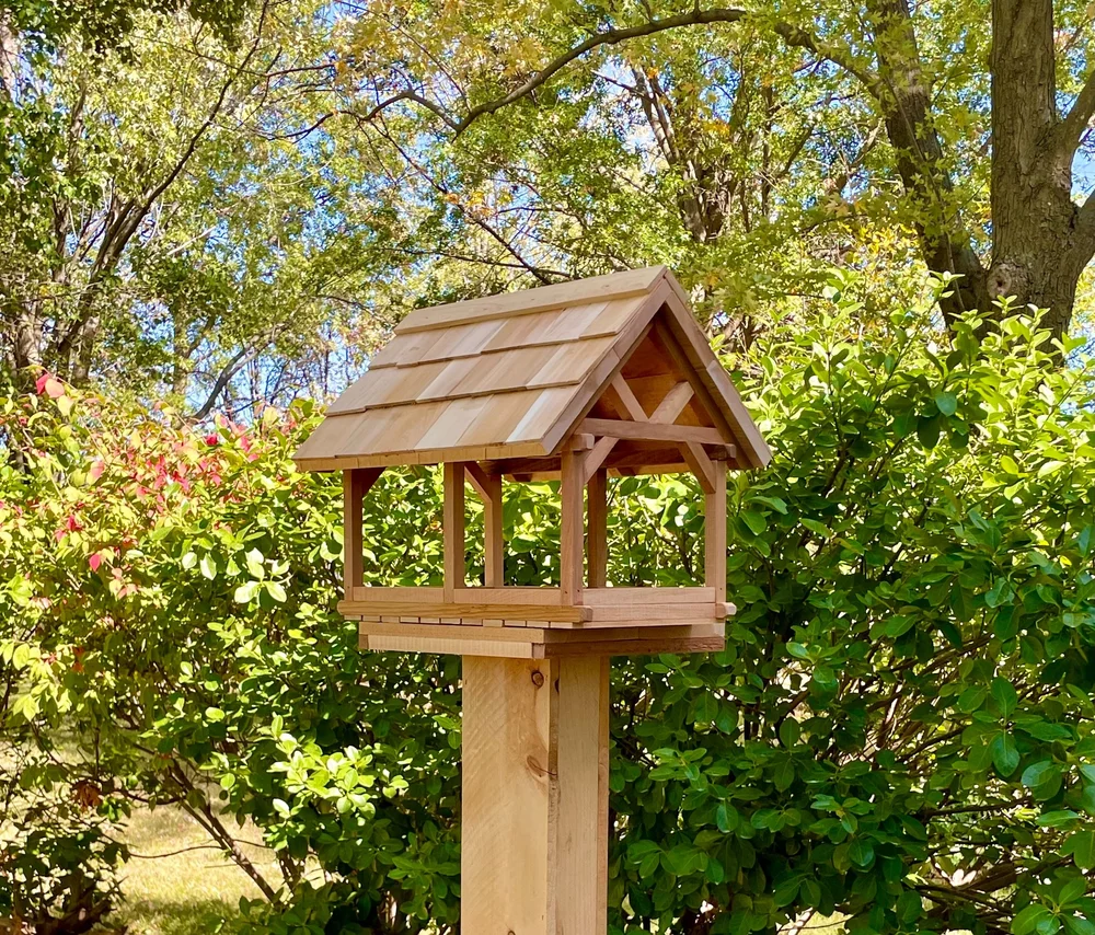 The Forest Bird Feeder, Tree Bird Feeder, Tree Feeder, Fly through ...