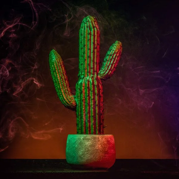 Nine Week Accredited Courses — Centre for Creative Photography