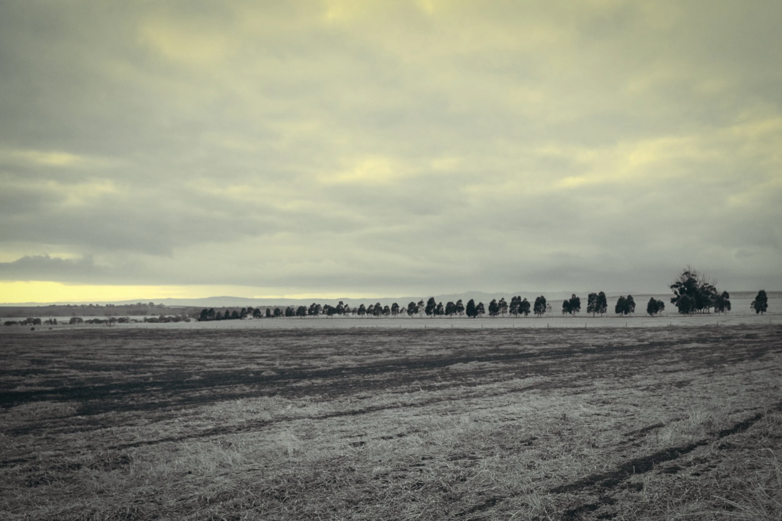 Hazel Cochrane — Centre for Creative Photography