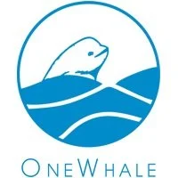 OneWhale. One Ocean. One Future. | Meet Hvaldimir