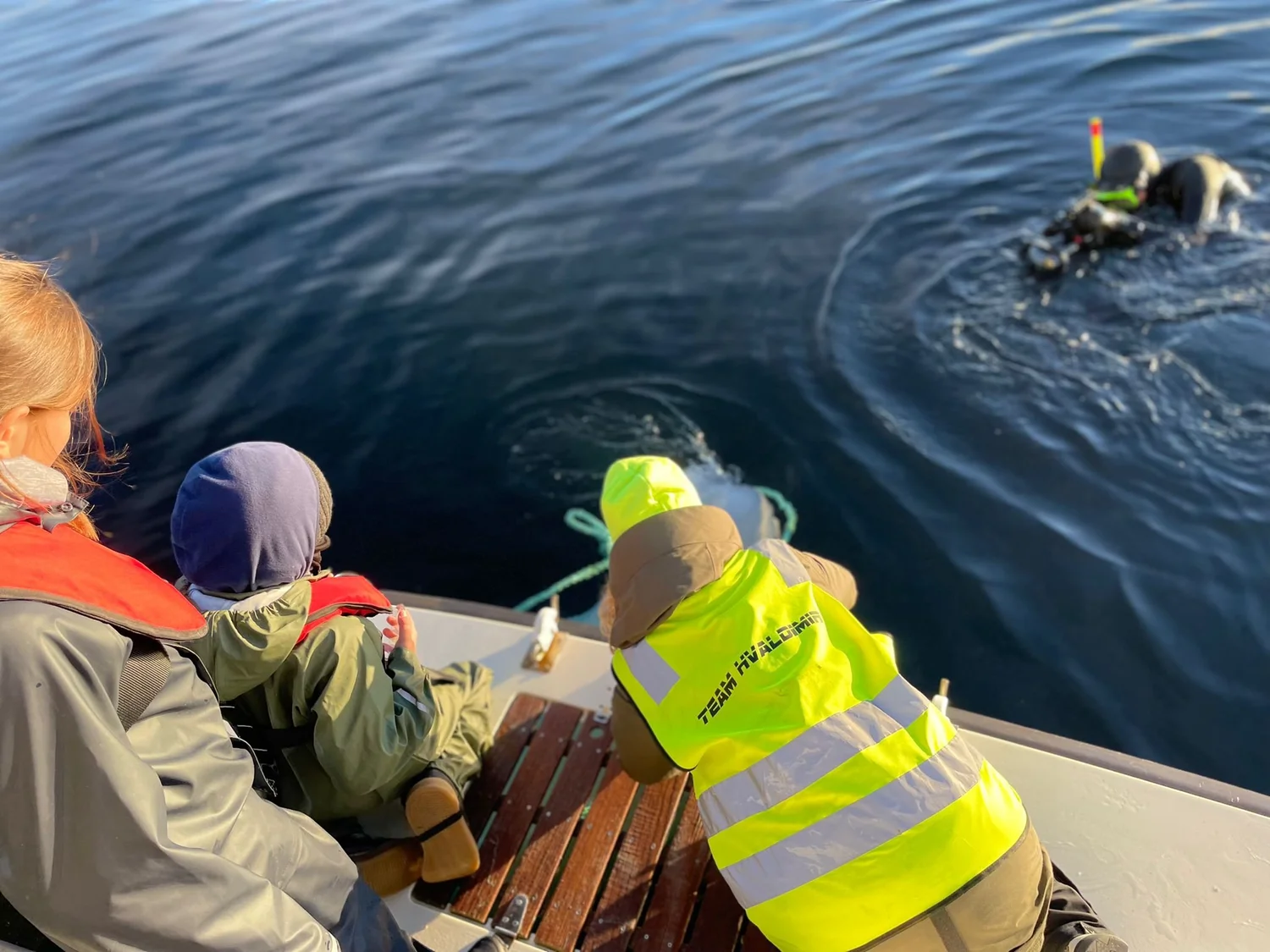 OneWhale. One Ocean. One Future. | Meet Hvaldimir