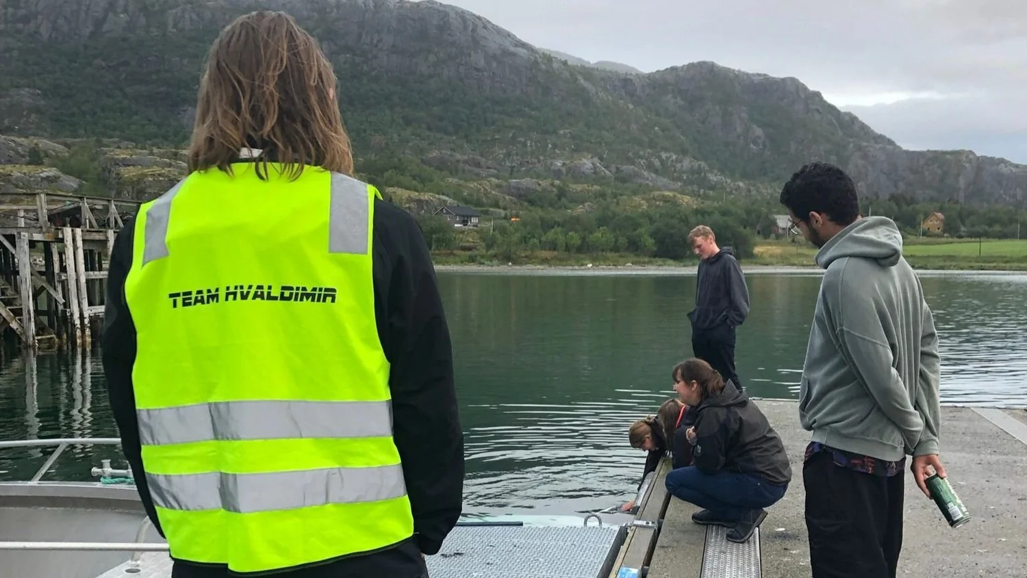 OneWhale. One Ocean. One Future. | Meet Hvaldimir