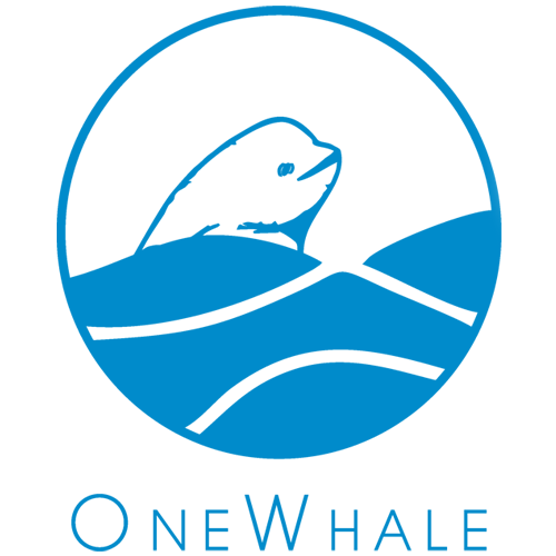 Meet Hvaldimir: The Beluga "Spy" Whale | OneWhale.org