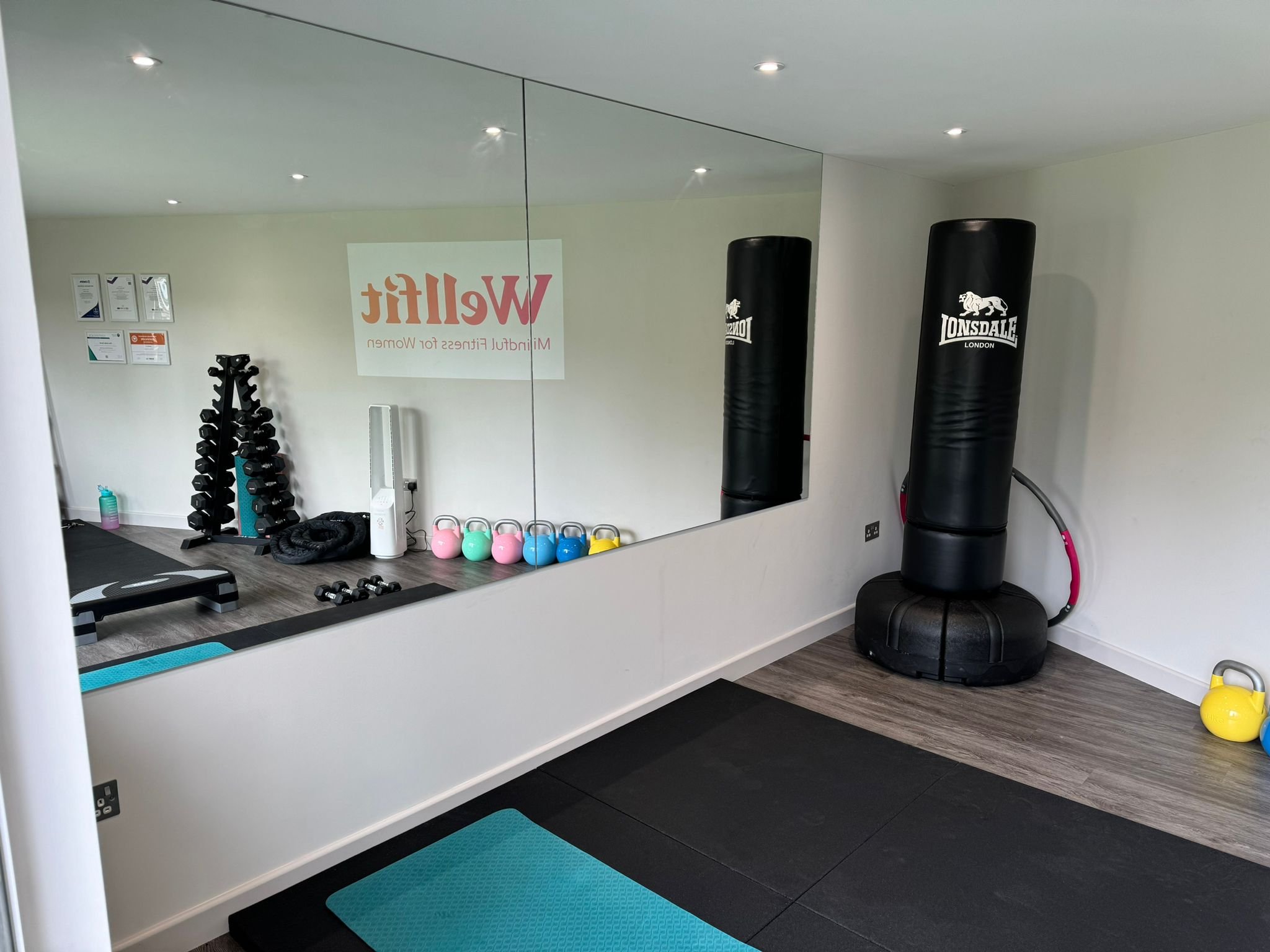 A Garden Room Gym in Addlestone, Surrey — Optisoul