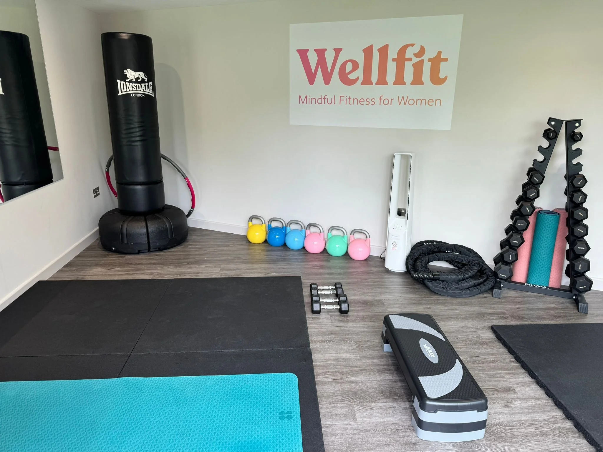 A Garden Room Gym in Addlestone, Surrey — Optisoul