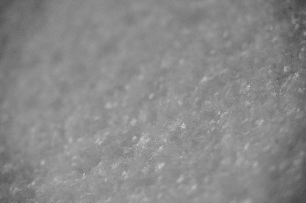 Snow Scope App — Propagation Labs