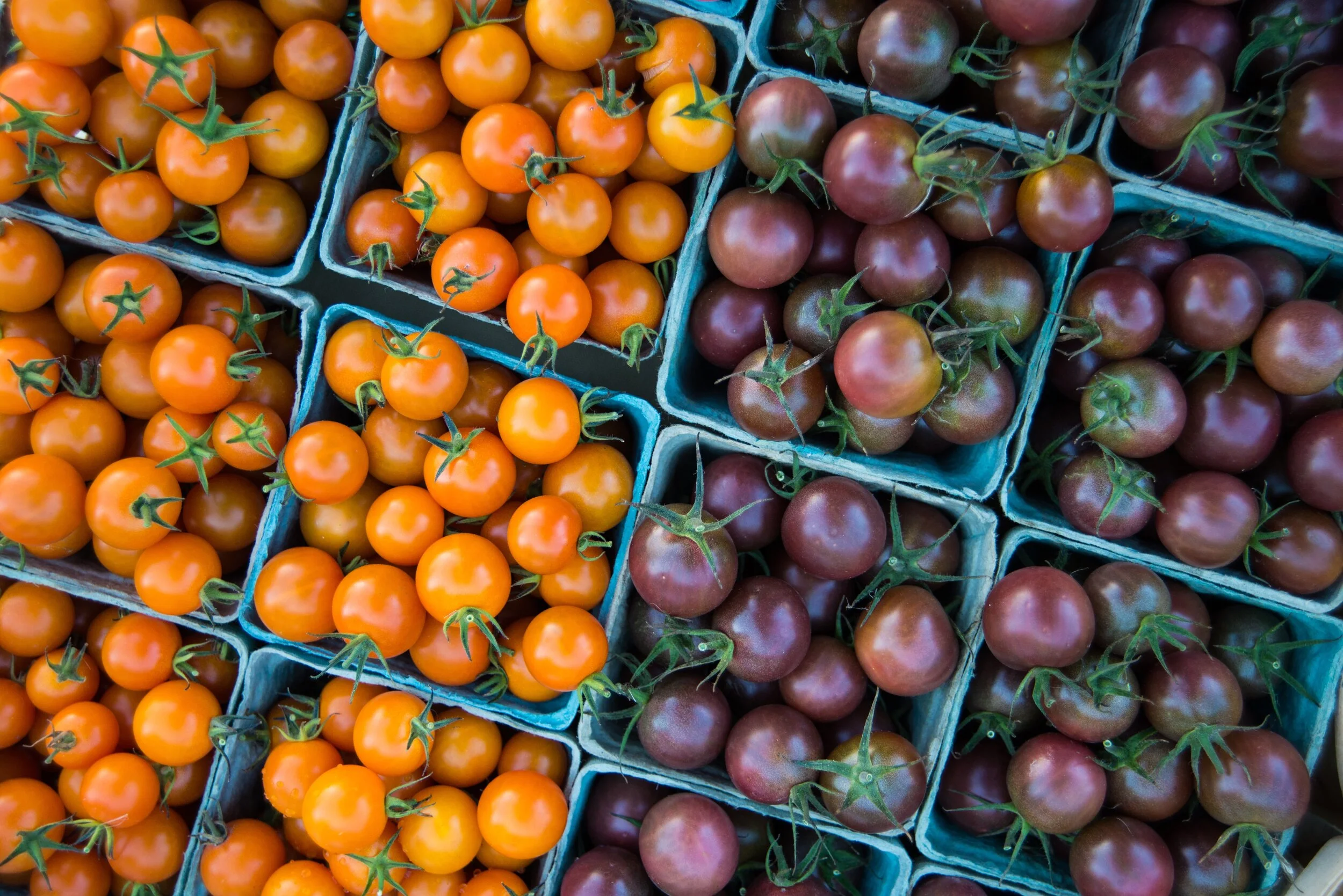 Fresh Food Connections Michigan | Equitable Access to CSA Shares