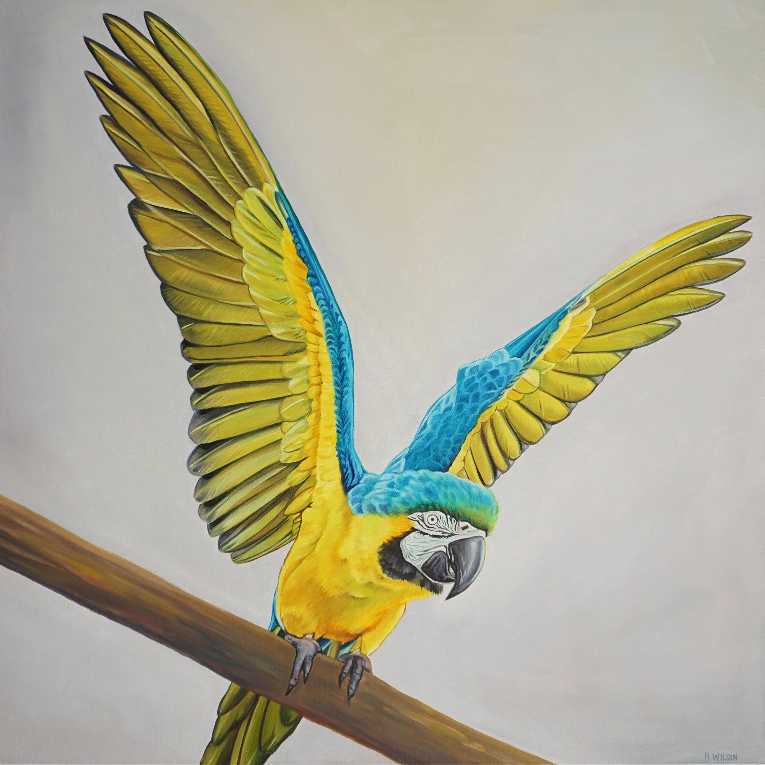 CURRENT WORK — Hayden Wilson Art