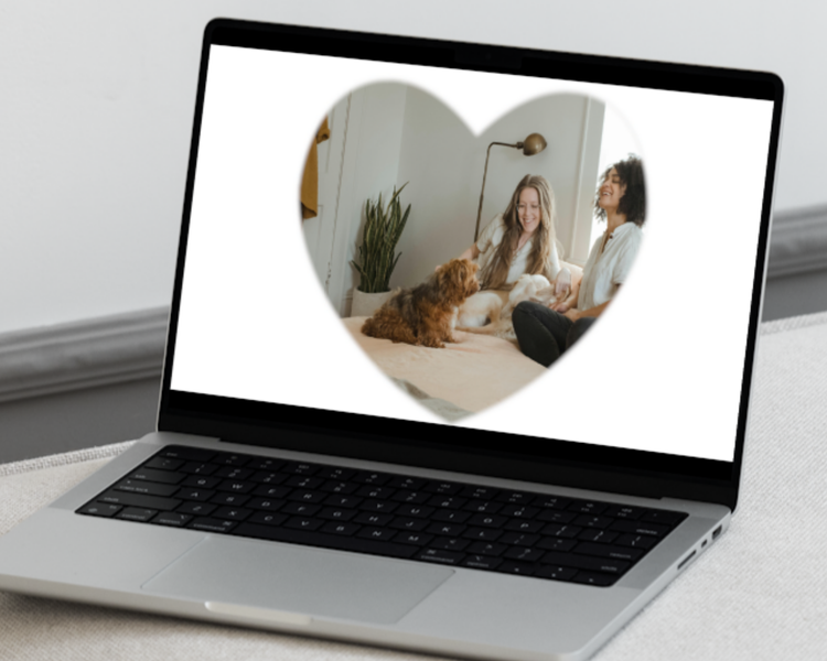 Minimal Animated Video Borders — editsbyestelle