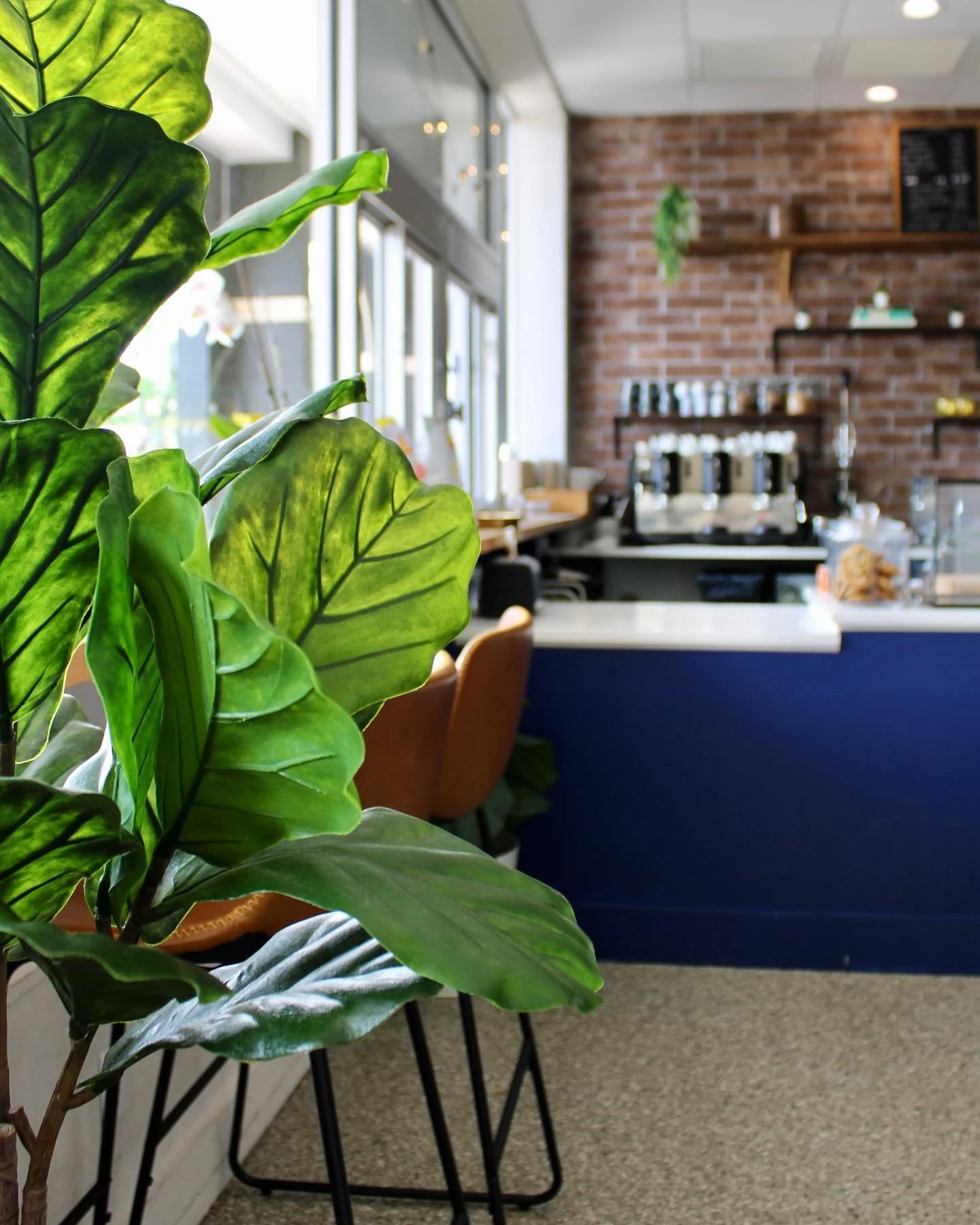 Menu + In Store Offerings — MOZZ