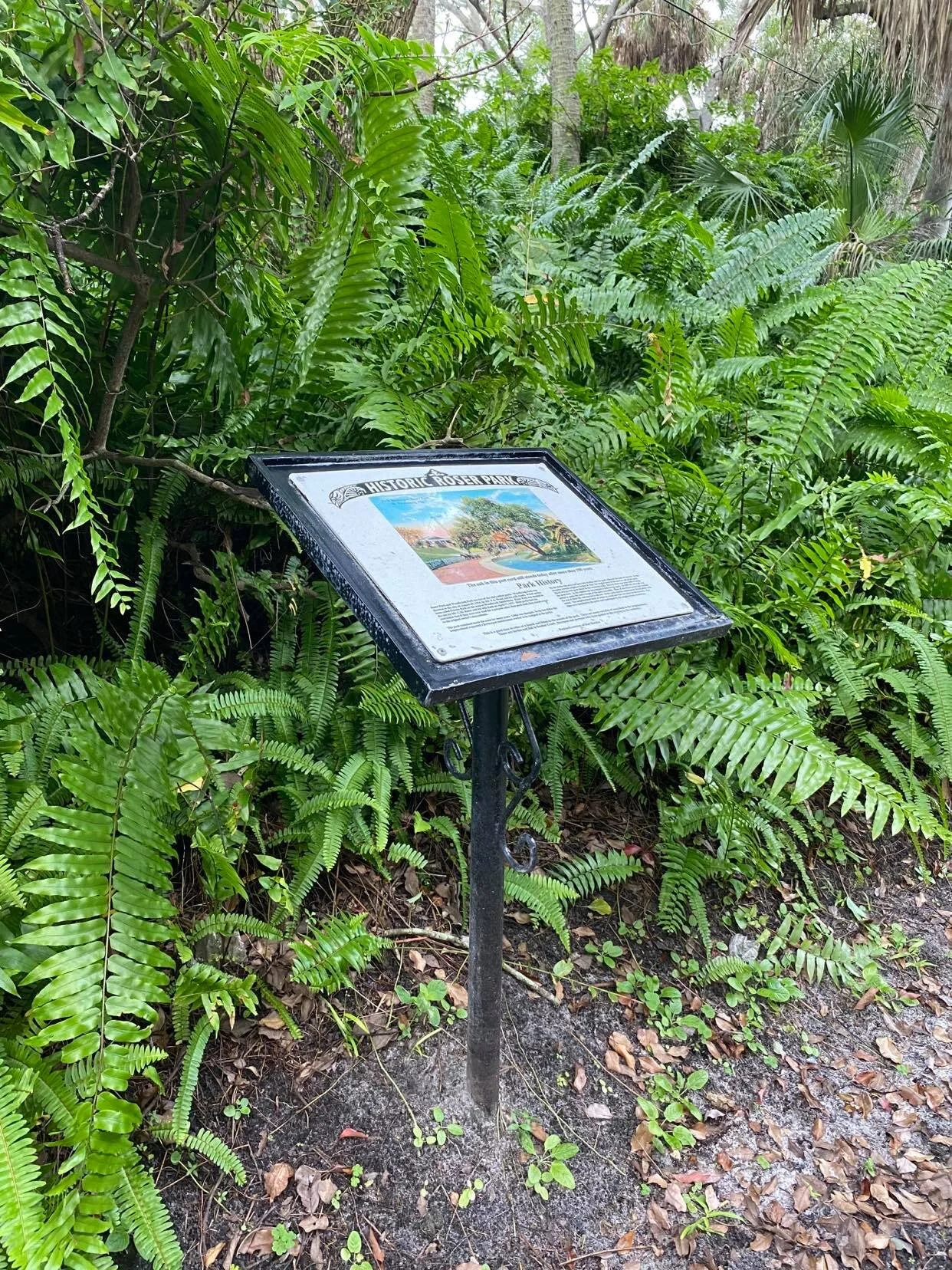 Outdoor Museum — Historic Roser Park