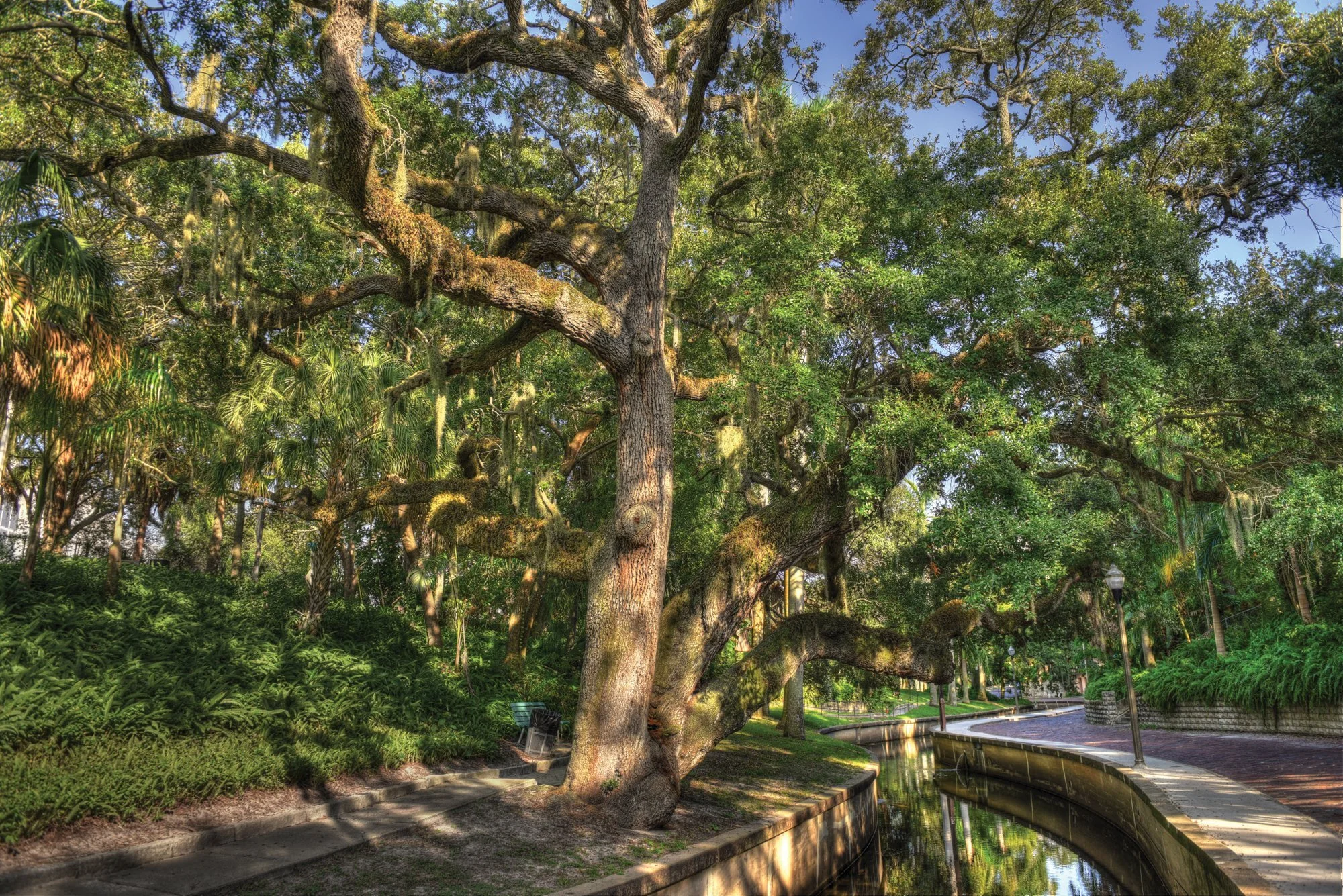 Leadership — Historic Roser Park