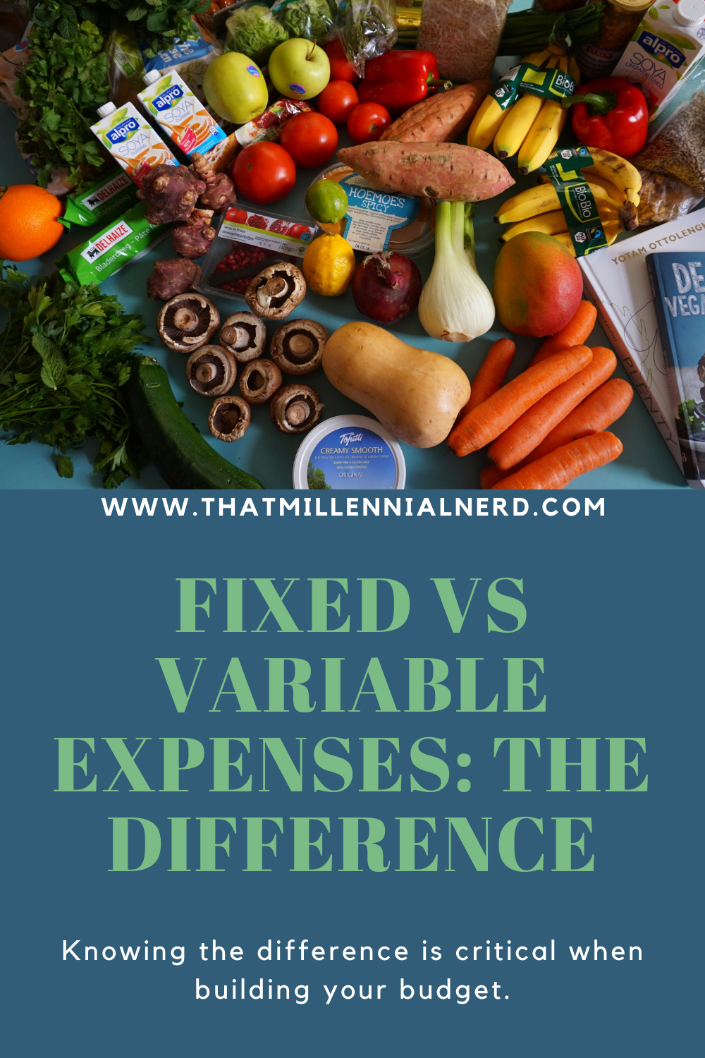 That Millennial Nerd Fixed Vs Variable Expenses Know The Difference that-millennial-nerd-fixed-vs-variable-expenses-know-the-difference