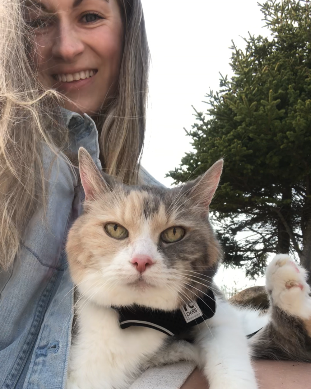 our story — My Grandfather's Cat