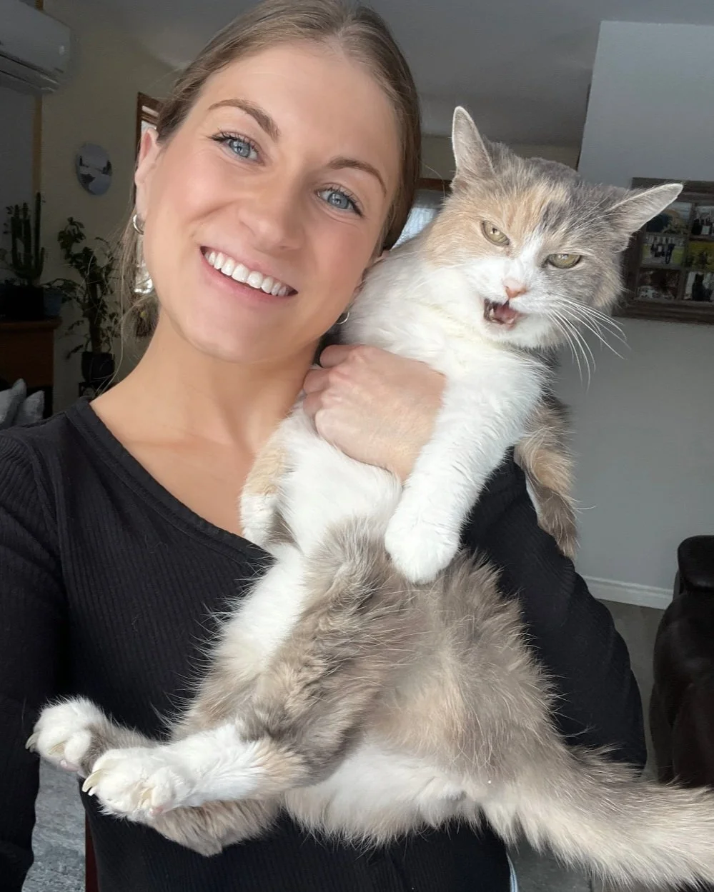 My Grandfather's Cat