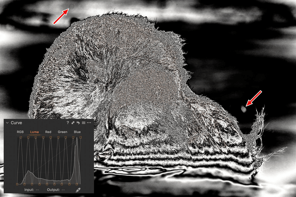 Visualize Spots: Reveal Dust Spots in Capture one Pro — Samir Zarrouk ...