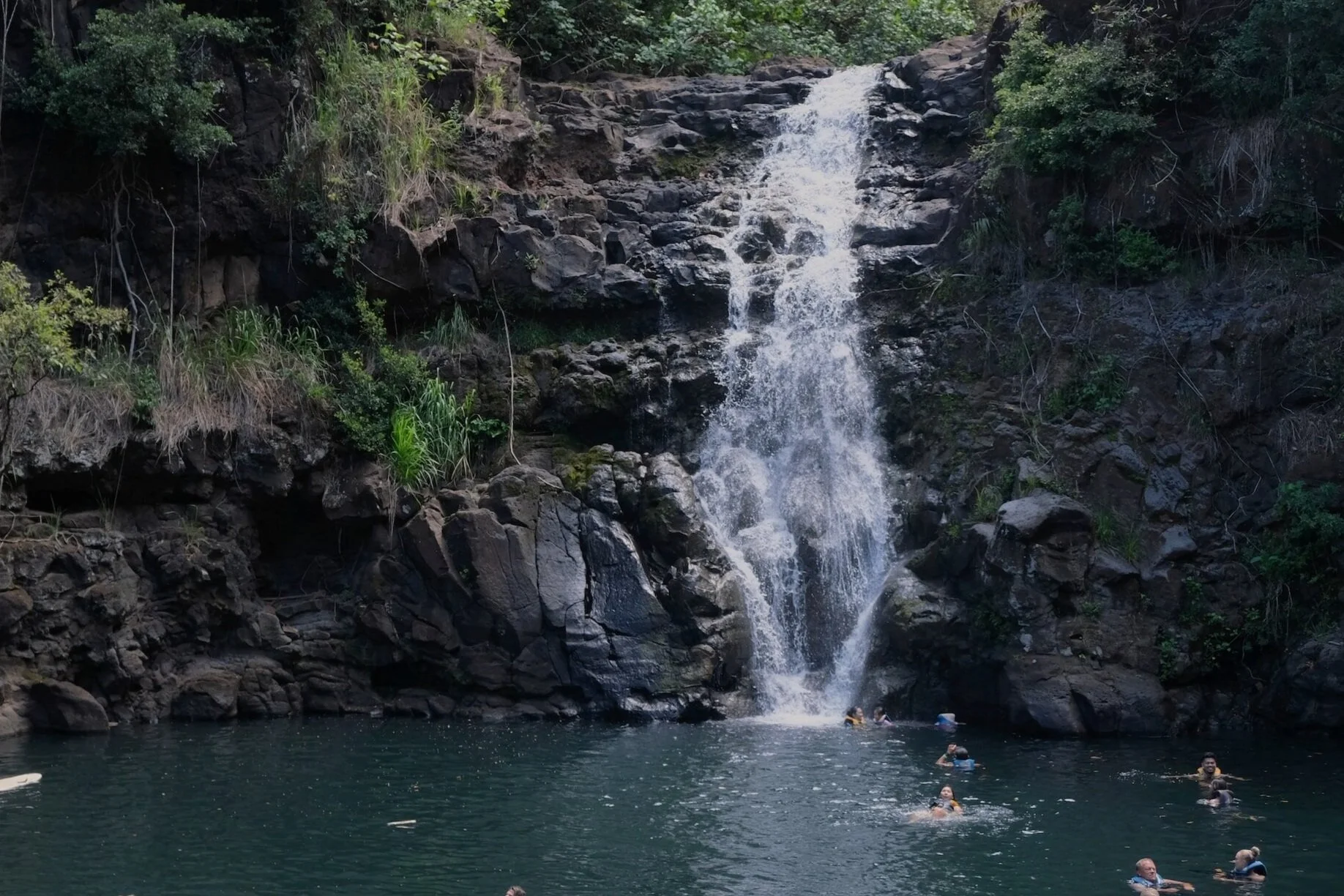 Explore the Best of Oahu with Oahu Circle Island Tours | Oahubesttours.com"