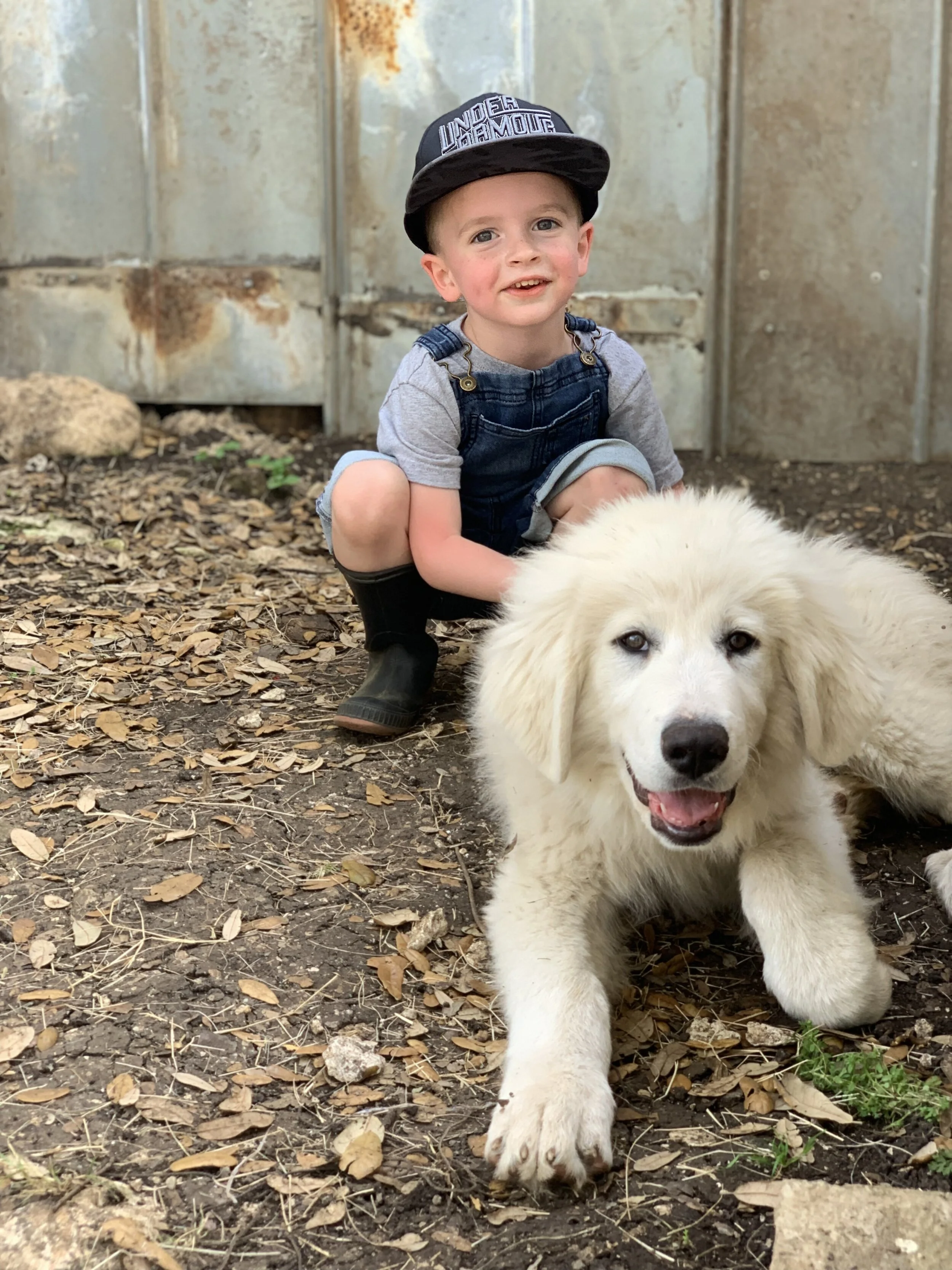 Are Great Pyrenees Good With Babies