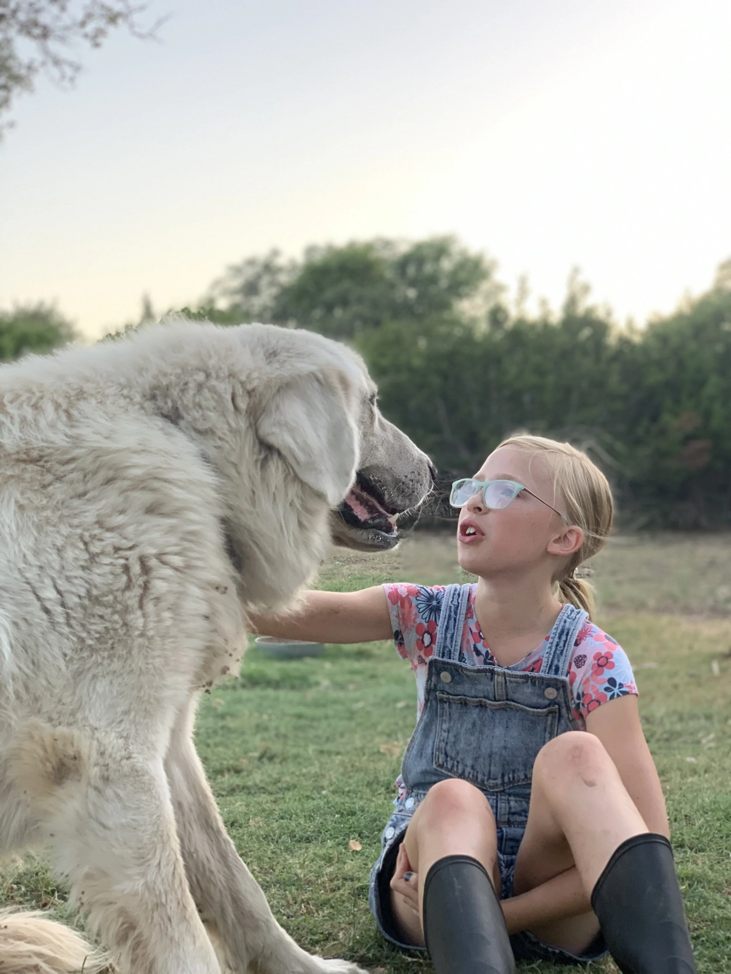 Are Great Pyrenees Good With Babies
