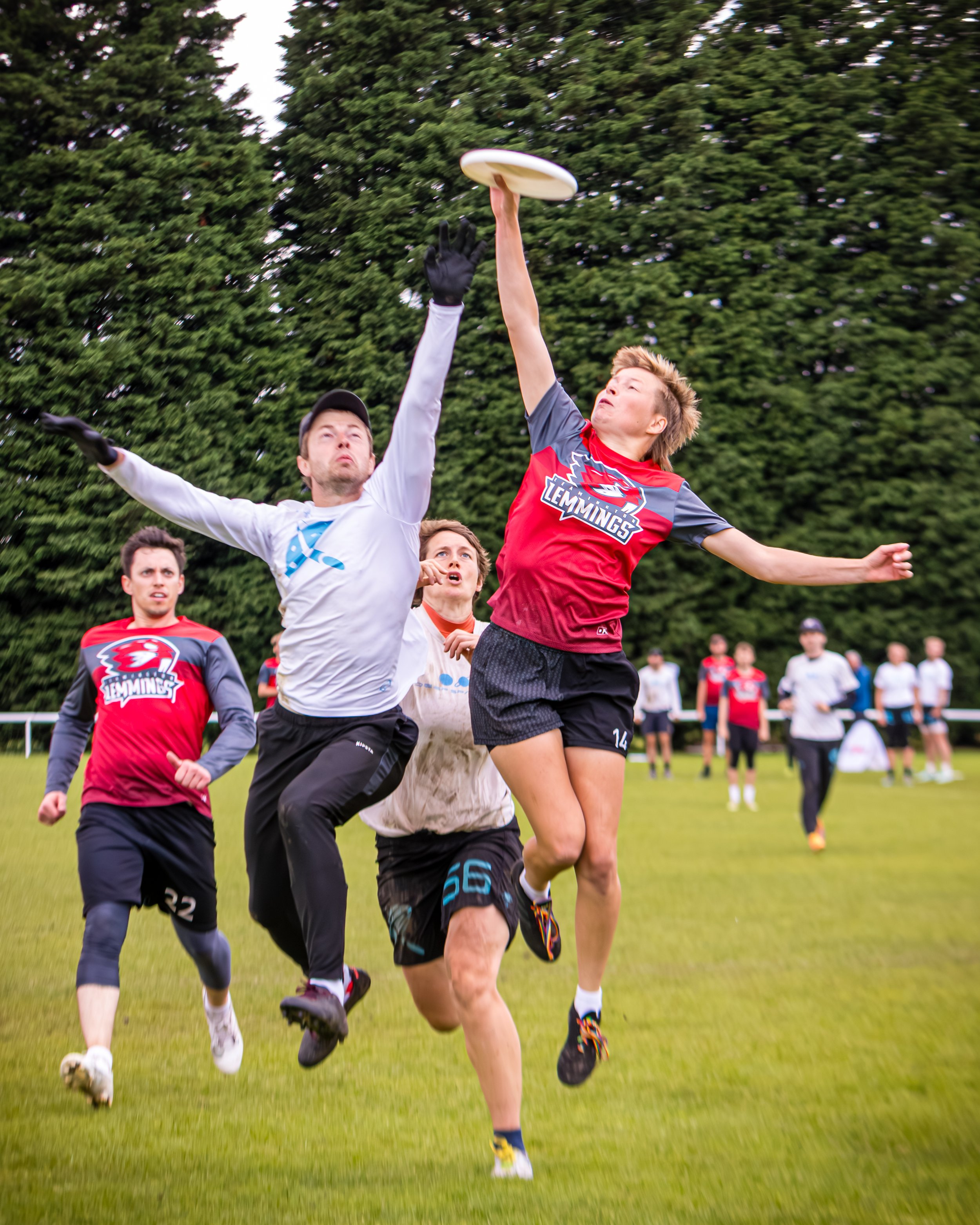 Ultimate Frisbee Game