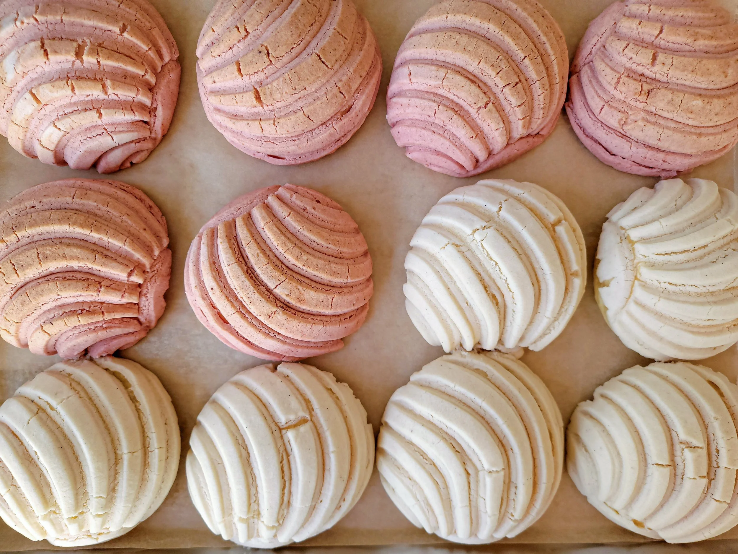 Conchas Washington State — Bakescapade