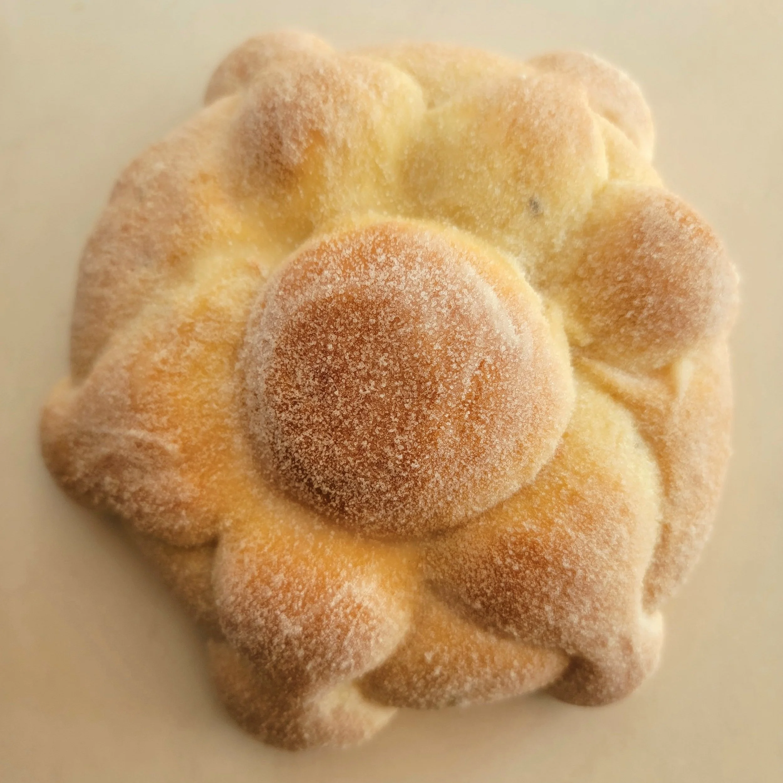 Bakescapade Concha Pop Up Menu — Bakescapade