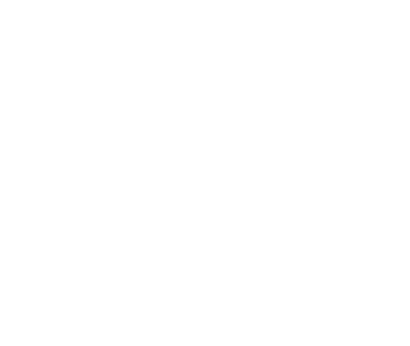 Lighthouse Family Medicine and Wellness