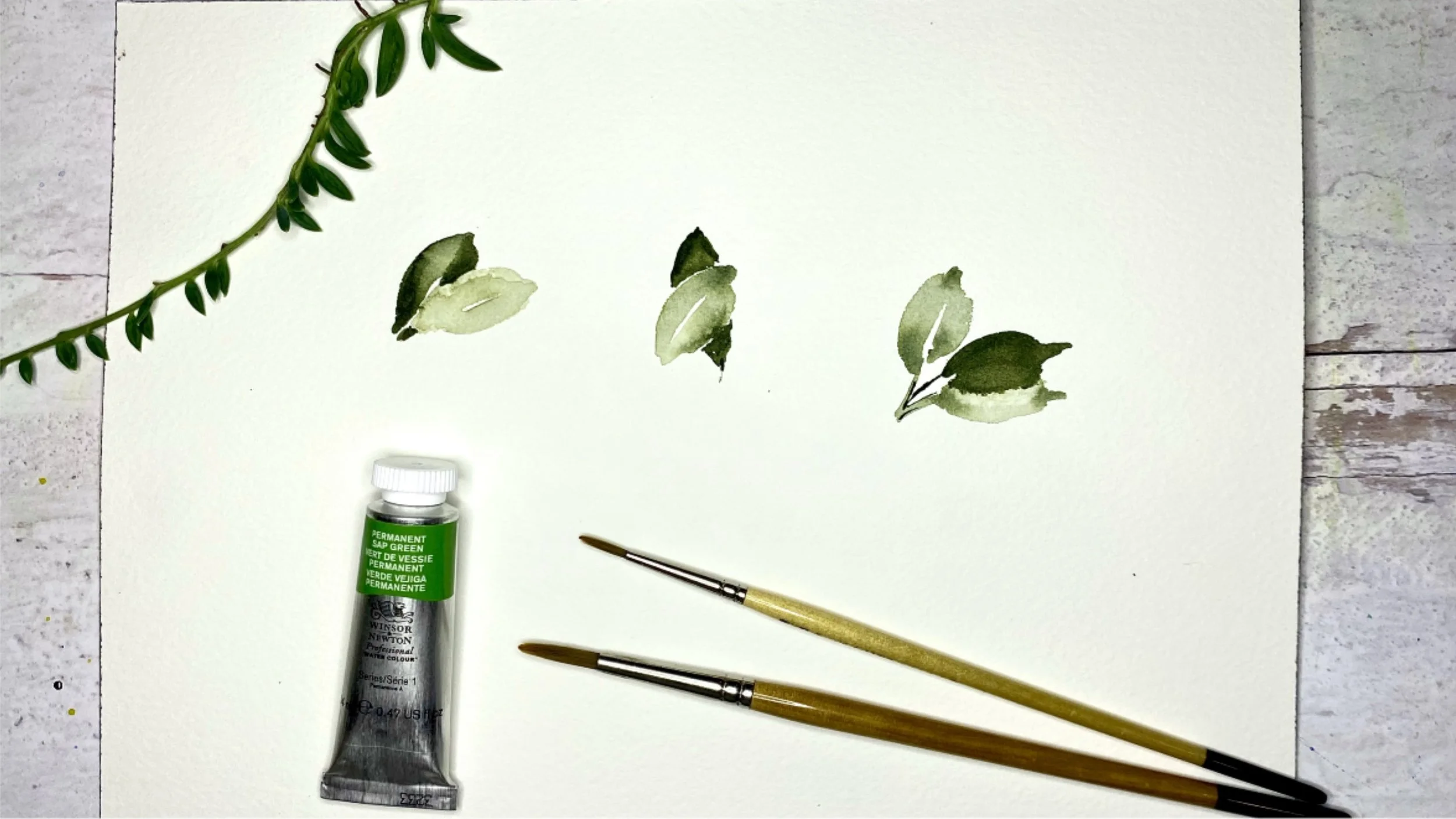 Watercolor Techniques - Layered Leaves — Sweet Seasons Art