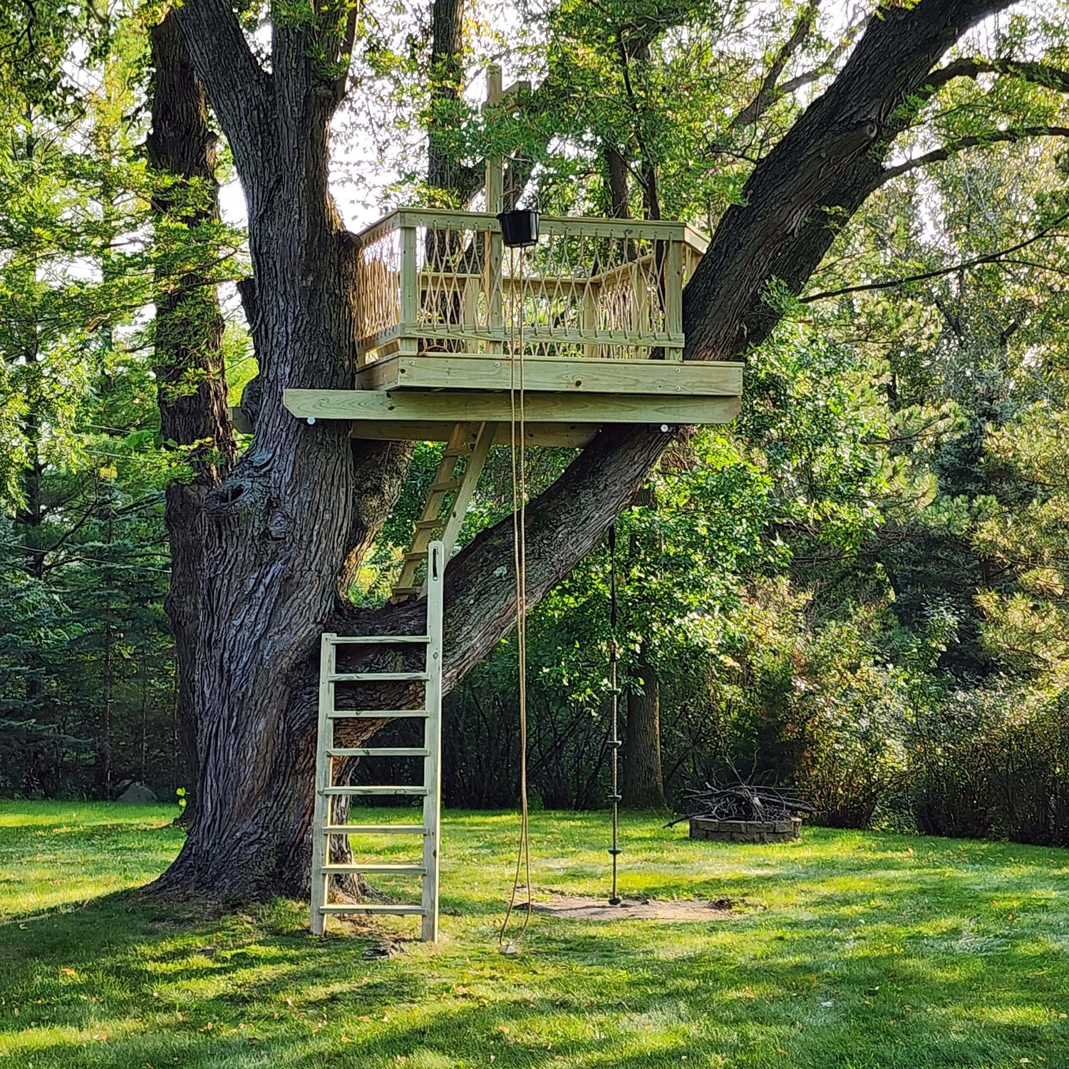 Sunset Perch - Crafted Tree Decks at Fortz