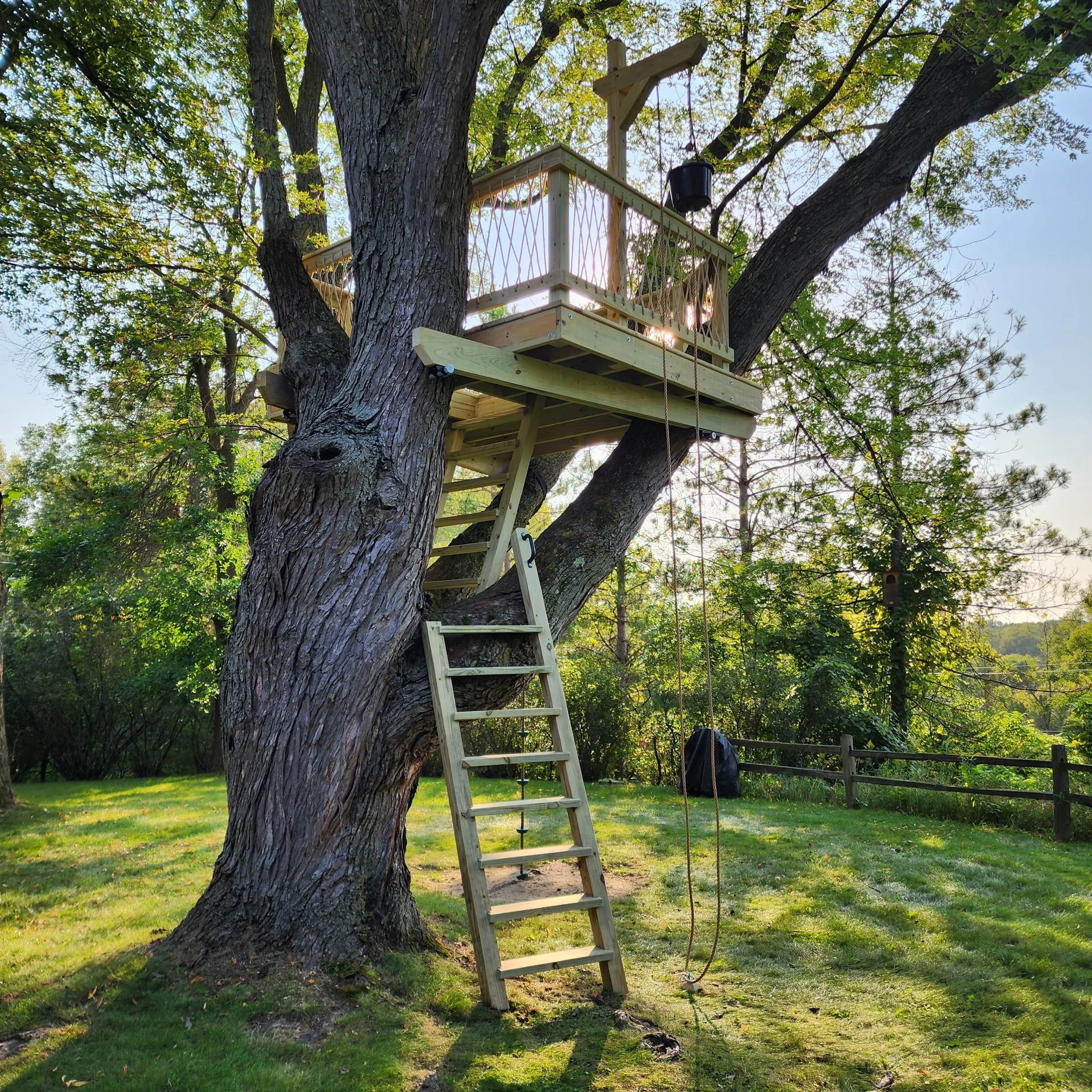 Sunset Perch - Crafted Tree Decks at Fortz
