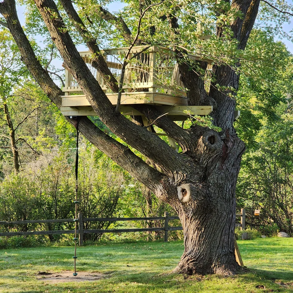 Sunset Perch - Crafted Tree Decks at Fortz