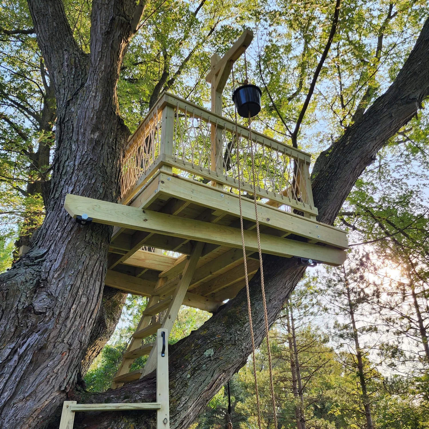 Sunset Perch - Crafted Tree Decks at Fortz