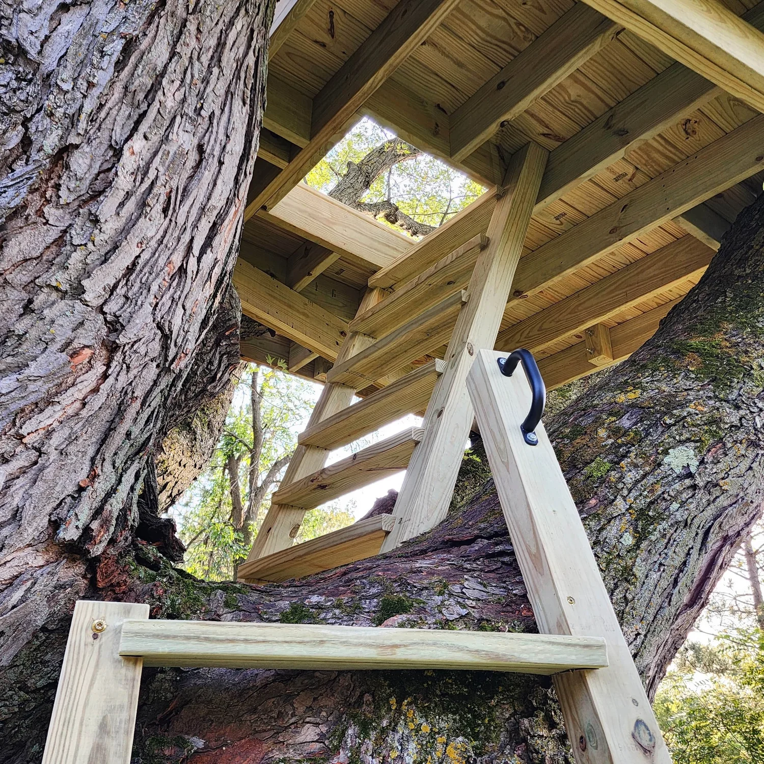 Sunset Perch - Crafted Tree Decks at Fortz