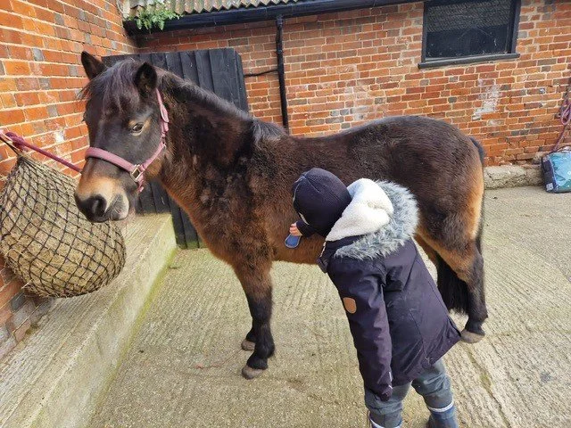 Stable Futures — Amegreen Children's Services