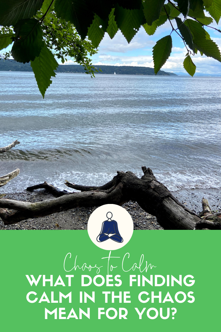 Stressed? Burned Out? Let's FIND Your Calm! — Coach Ellyn