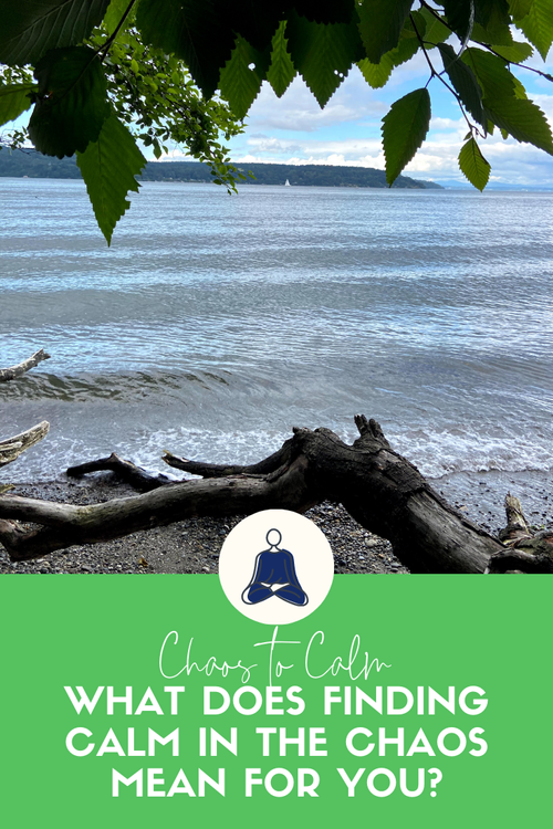 Stressed? Burned Out? Let's FIND Your Calm! — Coach Ellyn