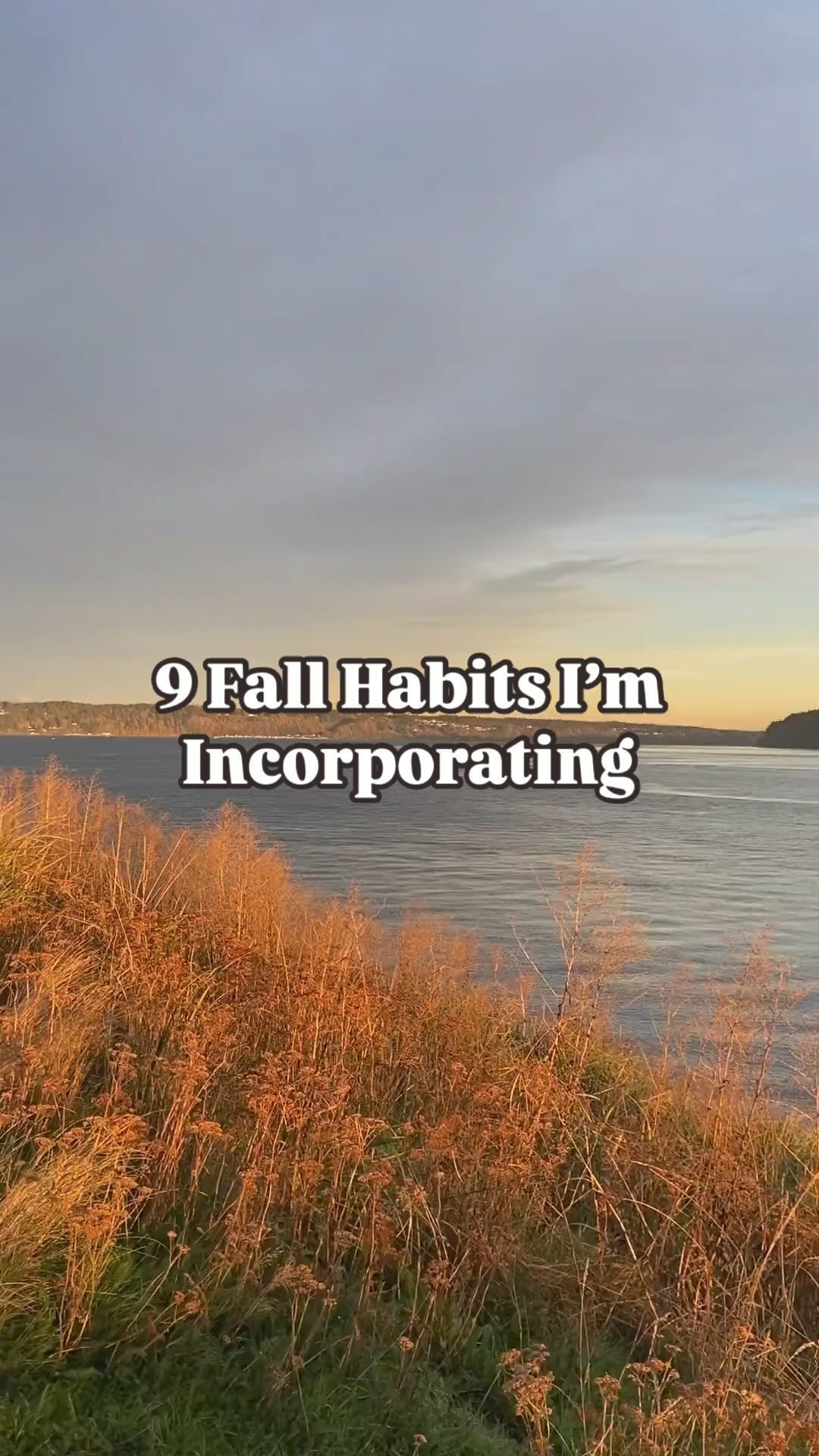 Screw Bogota, Gimme All the Cartagena — Coach Ellyn